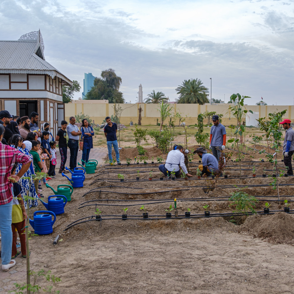 Al Manakh Spaces || Planting Workshop